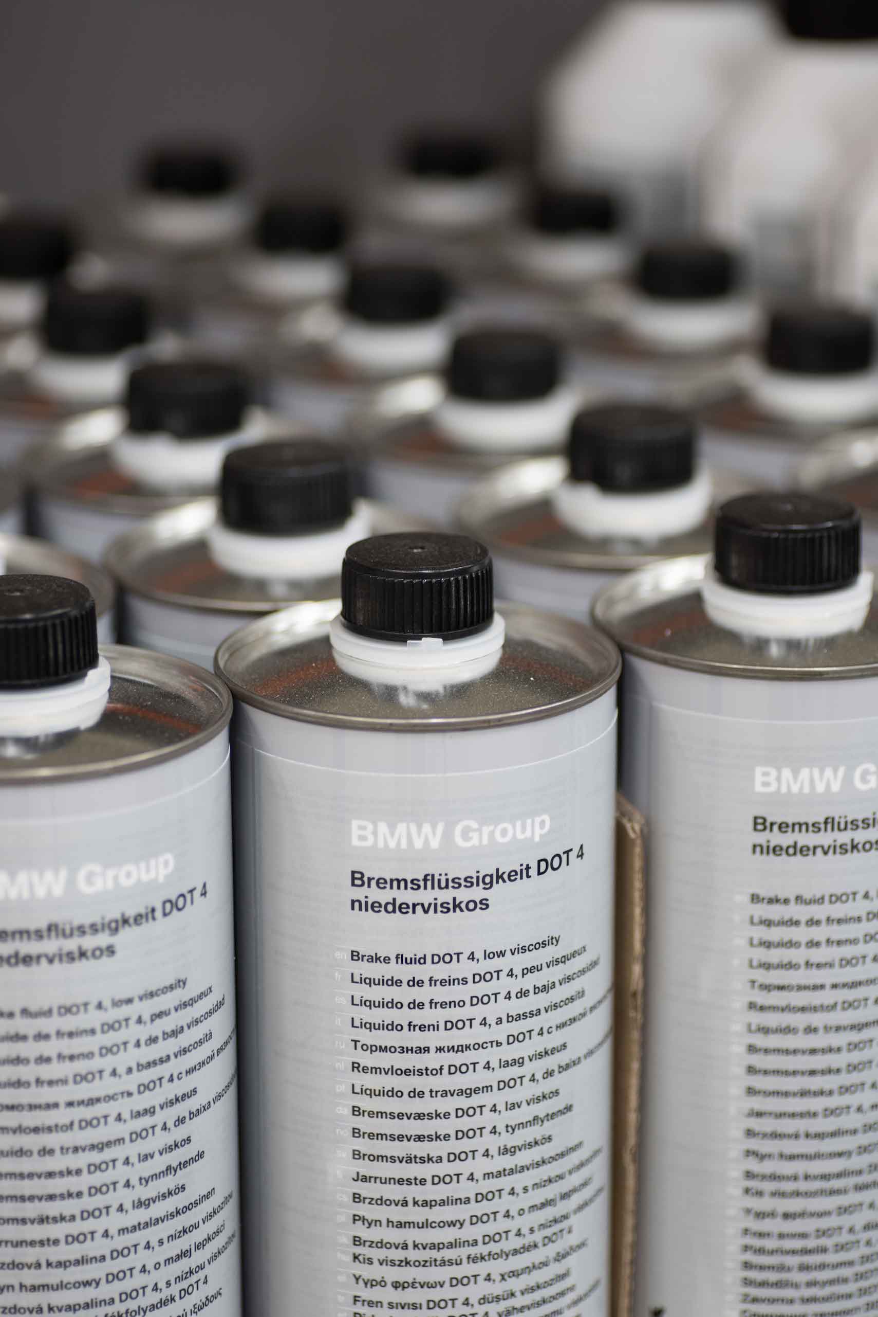 Gallery - Juzz Performance